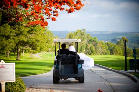 Golf Carts and Weddings: A Potentially Deadly Combination | Frank D ...